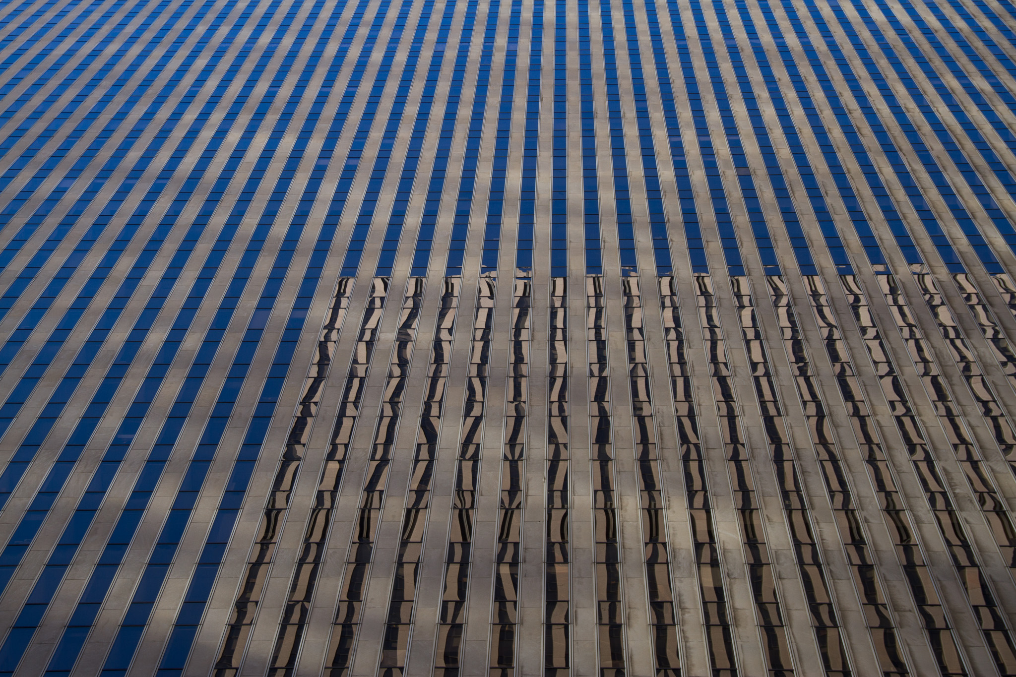 jeff schultz photography and Fred's Team